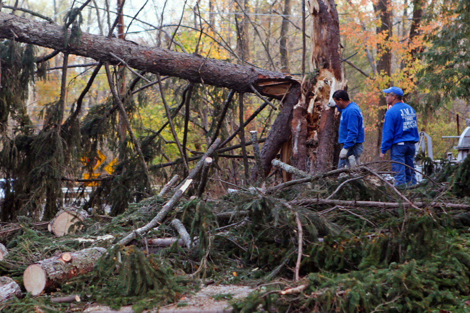 NJ Tree Removal Services - JMA Contracting